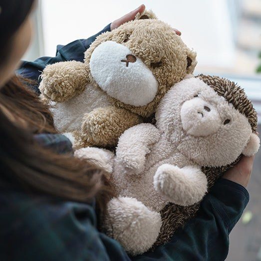 Sitting Animal Plush Toy by Miniso (fox hedgehog bear raccoon), Hobbies ...