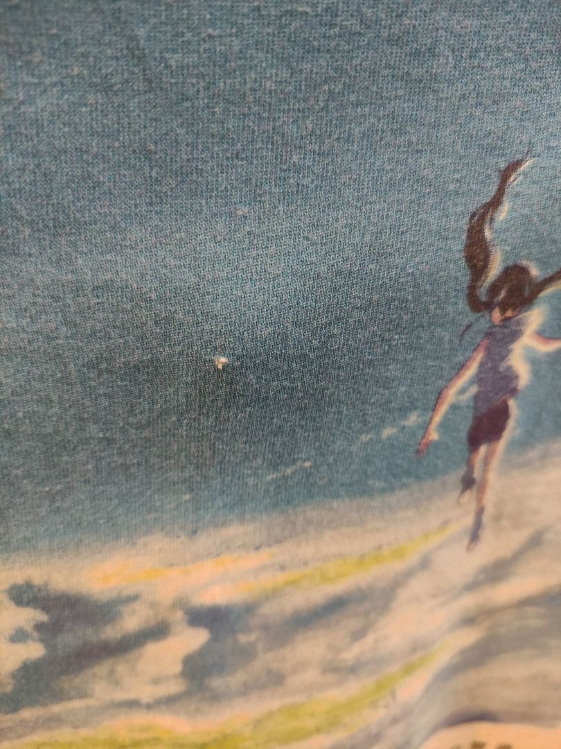 Uniqlo x Makoto Shinkai T Shirt Weathering With You, Men's Fashion ...