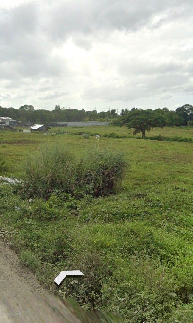 Vacant Agricultural Lot For Sale 1 Hectare Located in Bgy San Roque ...