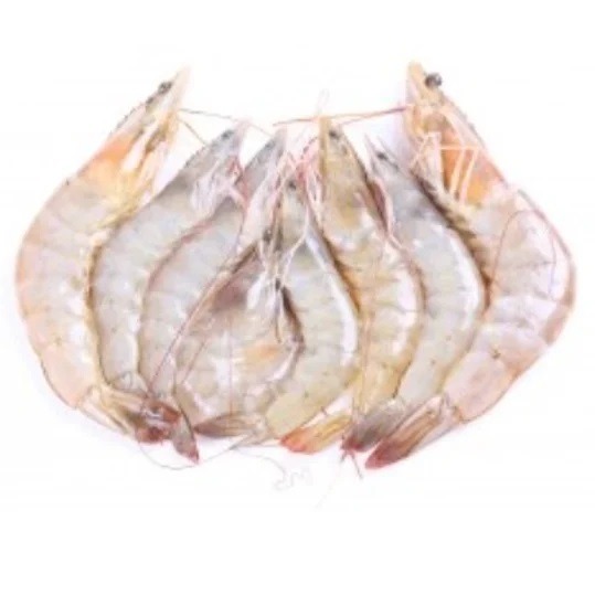 Wild Caught White Sea Prawn- Net Cast Pontian 海捕白虾 - 撒網, Freshest ...