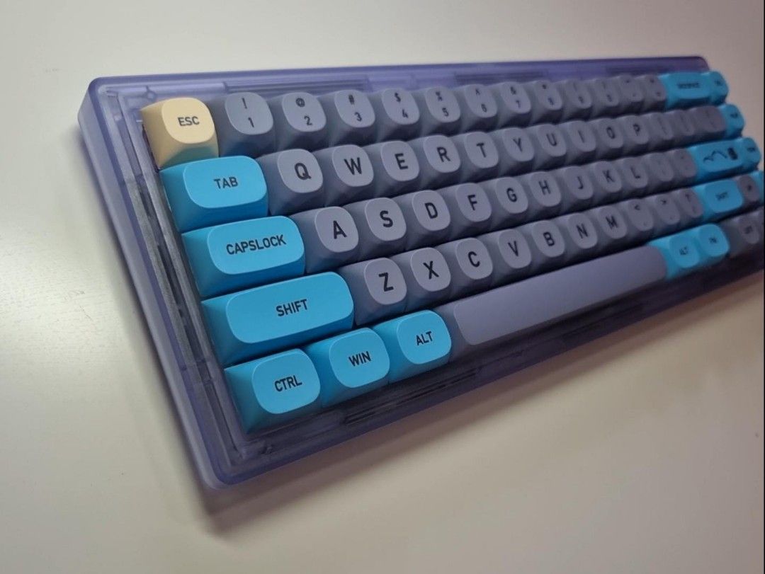 C.I.Y GAS 67 WITH AKKO CS LAVENDER SWITCHES, Computers & Tech, Parts ...