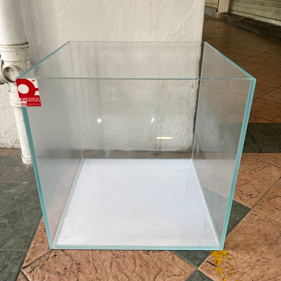 Crystal Clear Cube Tanks, Pet Supplies, Homes & Other Pet Accessories ...