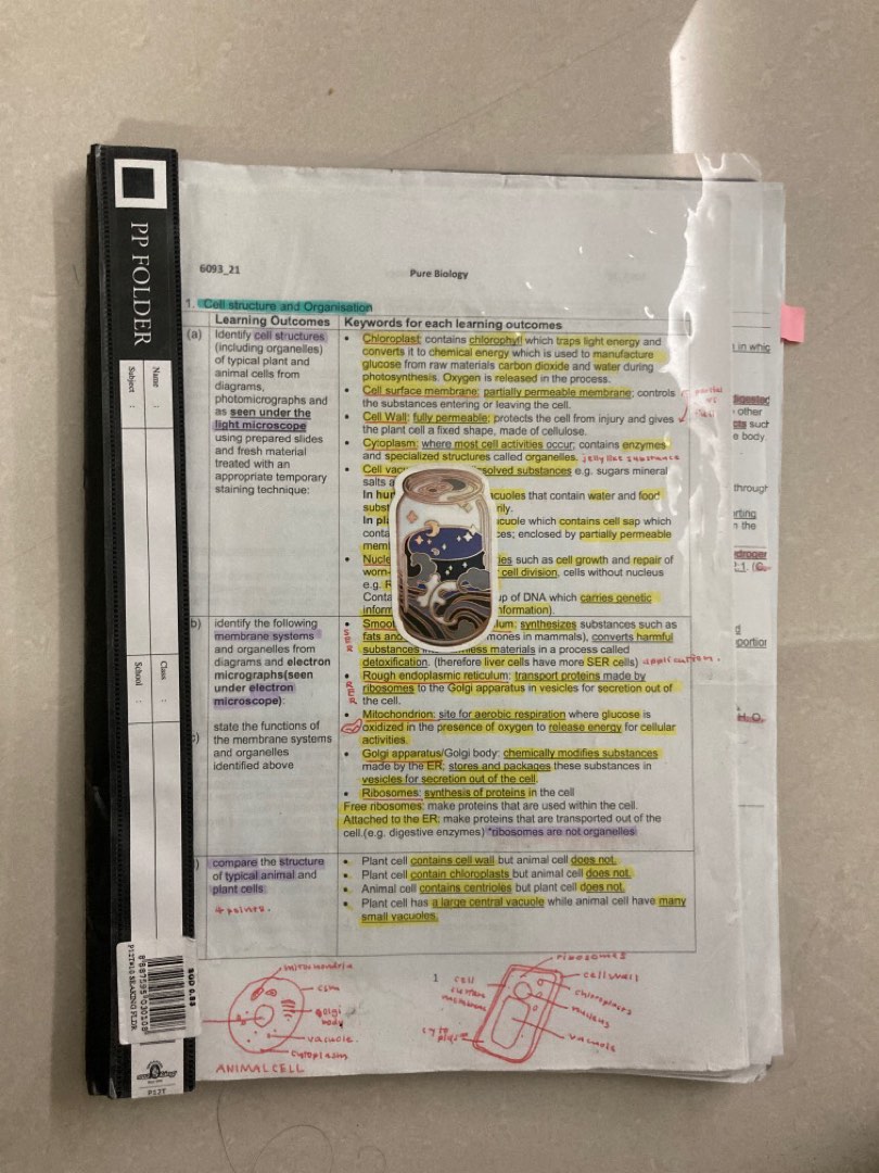 curated biology o level notes, Hobbies & Toys, Books & Magazines ...