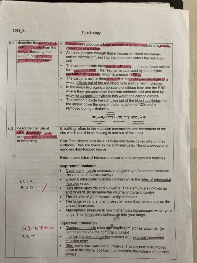 curated biology o level notes, Hobbies & Toys, Books & Magazines ...