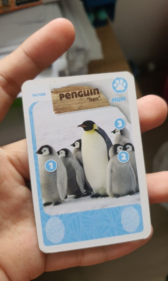 Fairprice Xtra animal cards, Hobbies & Toys, Toys & Games on Carousell
