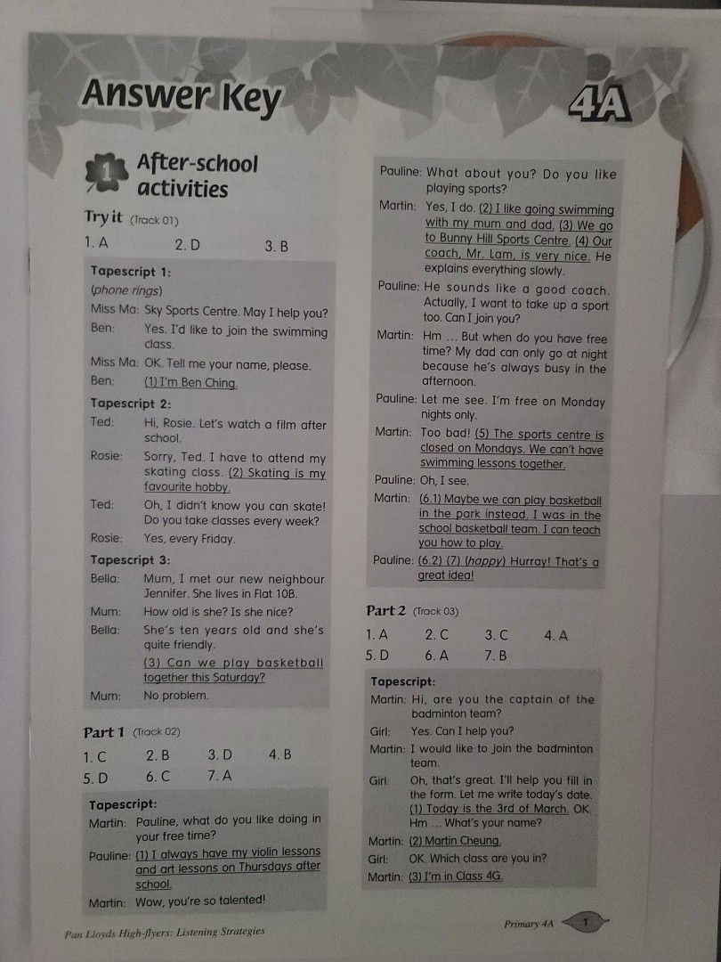 Pan Lloyds High-Flyers Listening strategies 4A & 4B With CD-Rom (MP3 ...