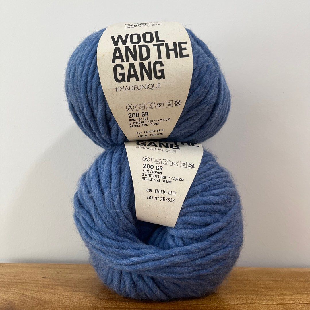 Wool And The Gang Crazy Sexy Wool, Hobbies & Toys, Stationery & Craft ...