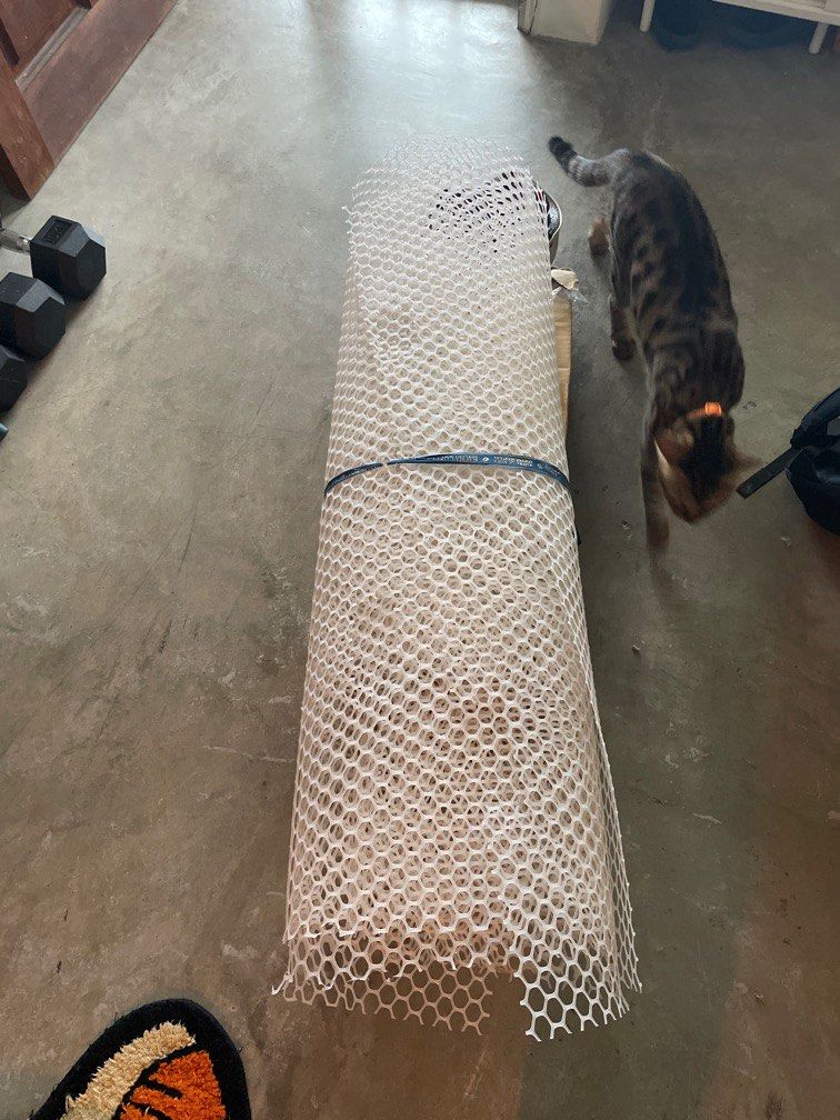 Cat windows mesh HDB, Furniture & Home Living, Home Decor, Other Home ...