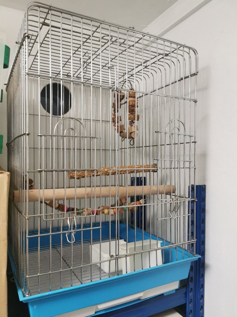 Parrot cage, Pet Supplies, Homes & Other Pet Accessories on Carousell