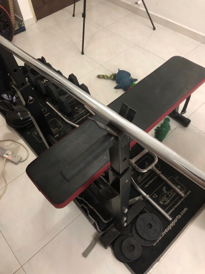 Triceps bar, curl bar, dumbbells, bench, gym, Sports Equipment ...