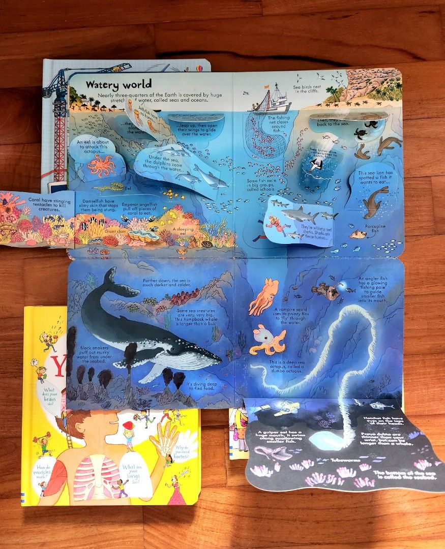 Usborne Look Inside Lift-the-Flap book set, Hobbies & Toys, Books ...