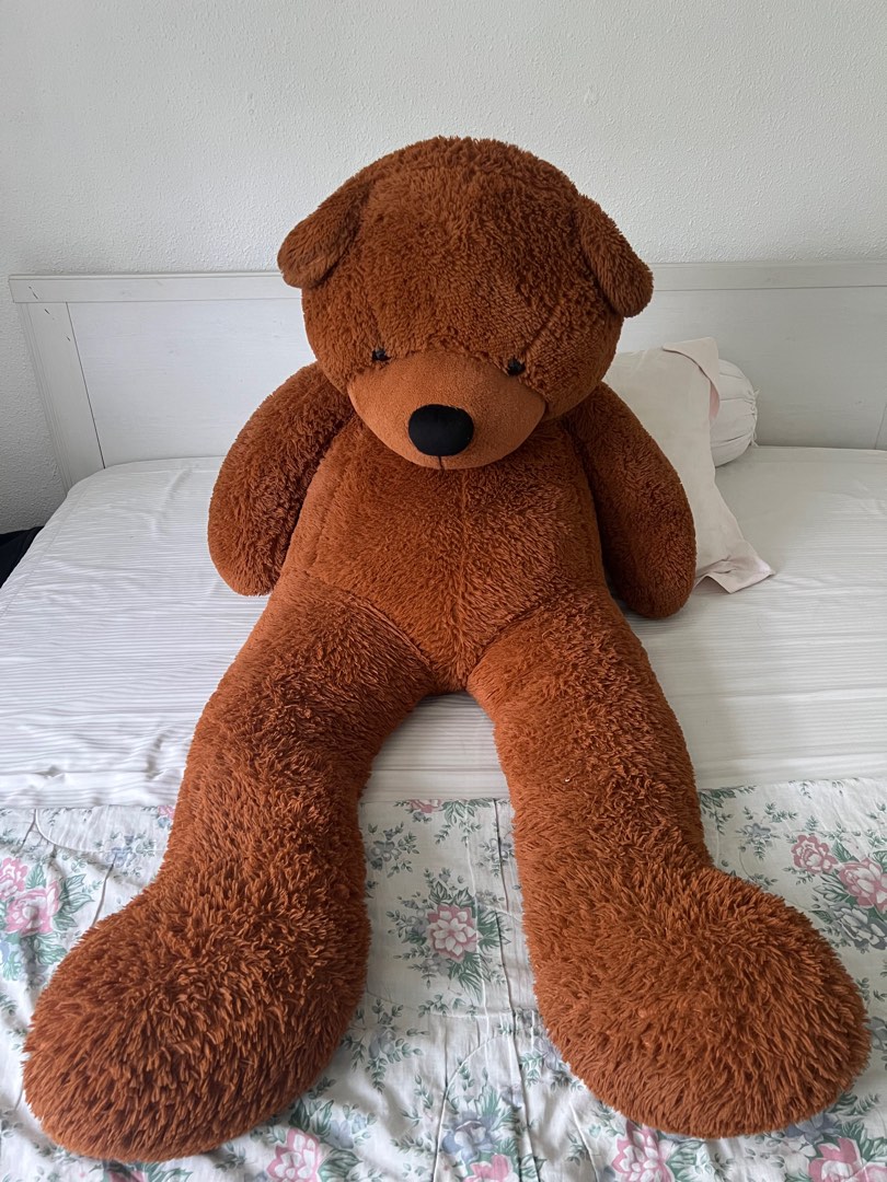 1.7m tall Teddy Bear!, Hobbies & Toys, Toys & Games on Carousell