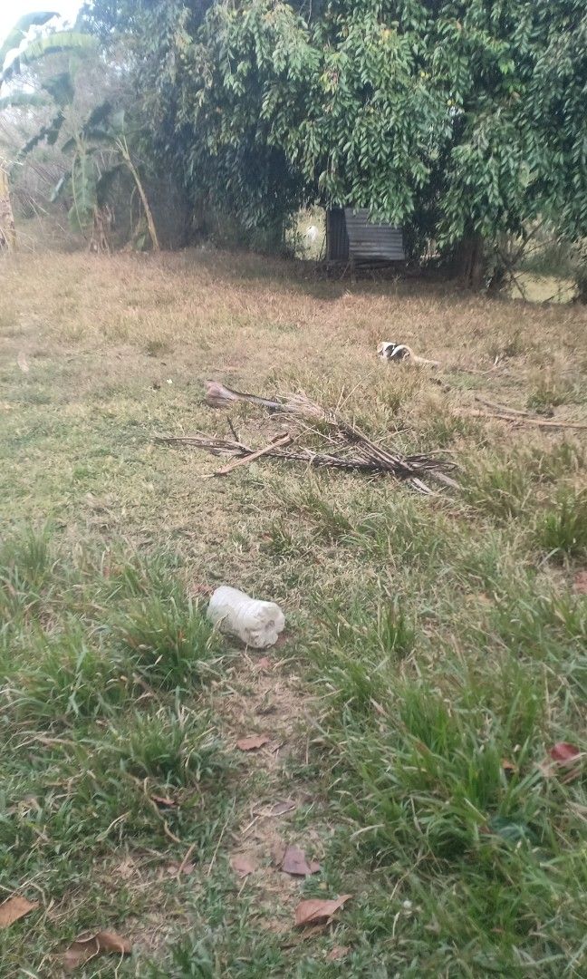 1 hectare land for sale, Property, For Sale, Lot on Carousell