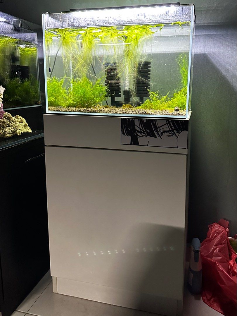 45CM Crystal Clear Fish Tank Set, Pet Supplies, Homes & Other Pet ...