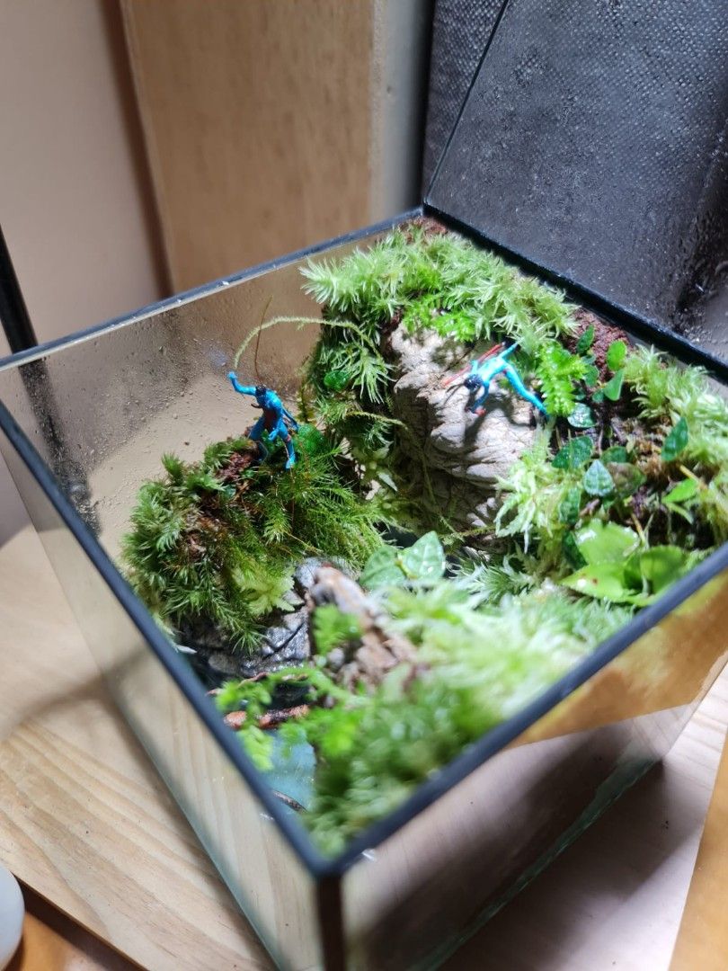 Avatar terrarium, Furniture & Home Living, Gardening, Pots & Planters ...