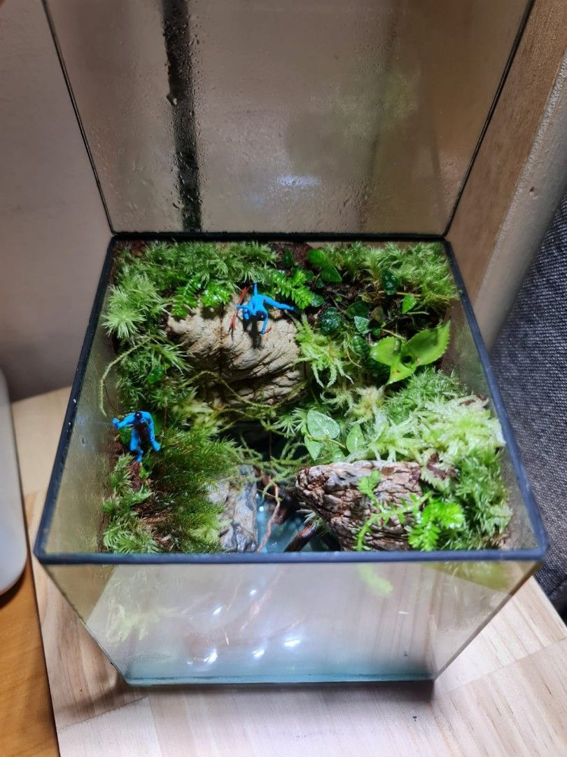 Avatar terrarium, Furniture & Home Living, Gardening, Pots & Planters ...