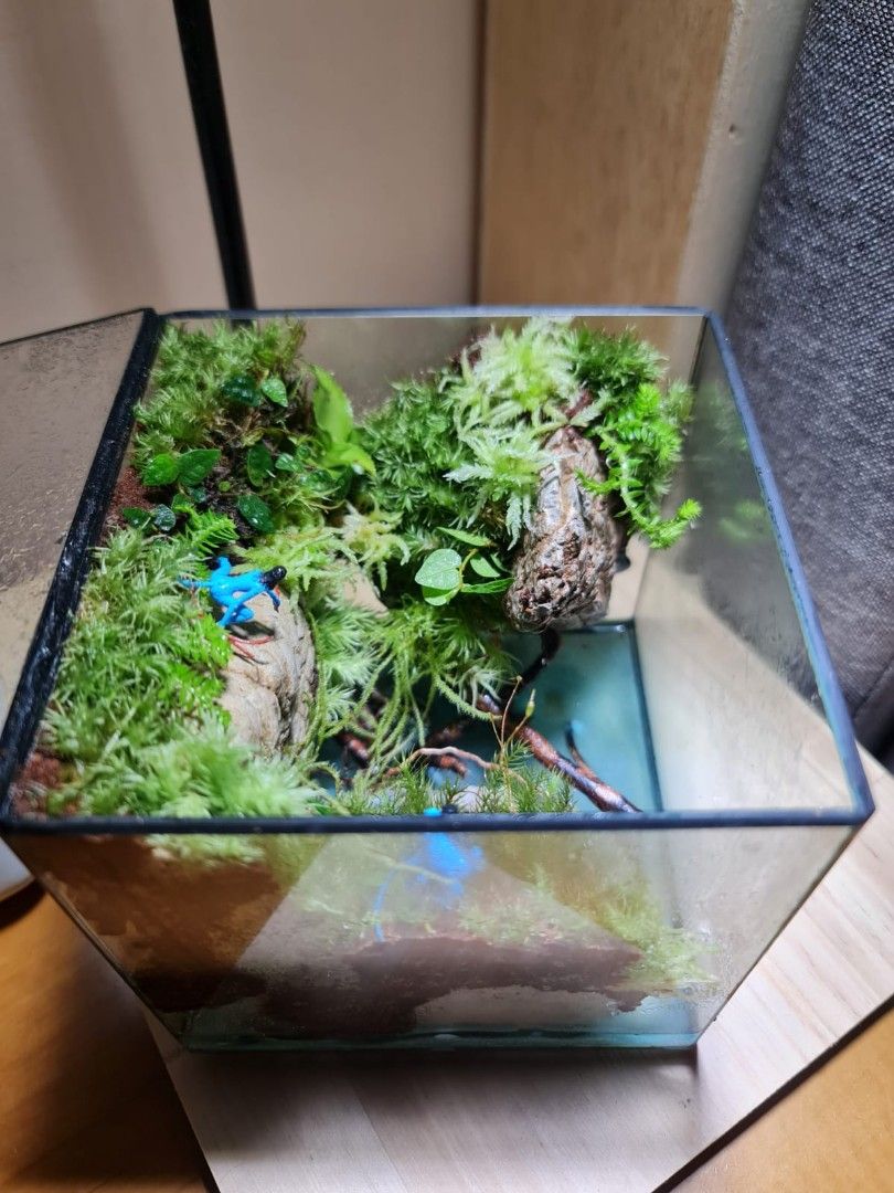 Avatar terrarium, Furniture & Home Living, Gardening, Pots & Planters ...