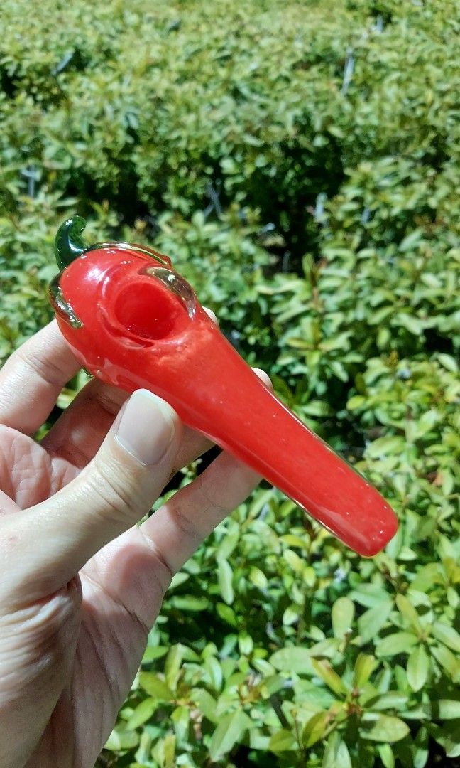 Chili Pepper Glass Smoking Pipe, Hobbies & Toys, Stationary & Craft ...