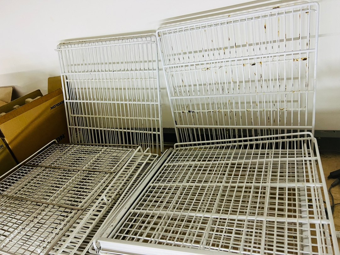 Chiller/freezer display rack, Everything Else on Carousell