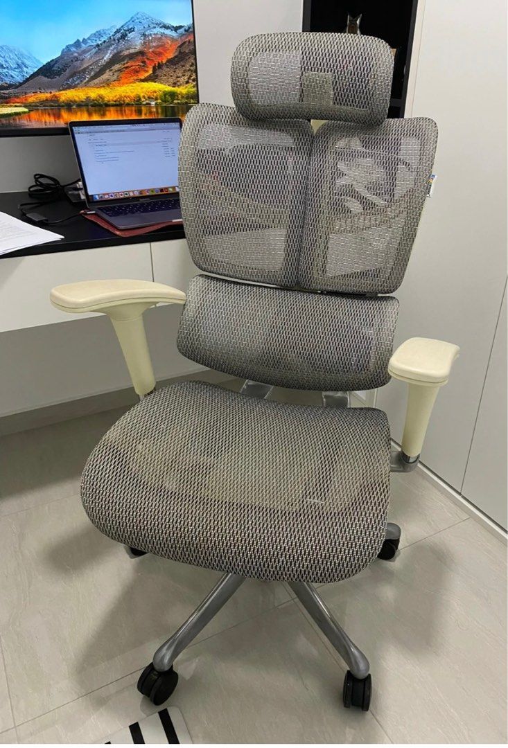 Ergonomic office chair Ergomax Evolution, Furniture & Home Living ...