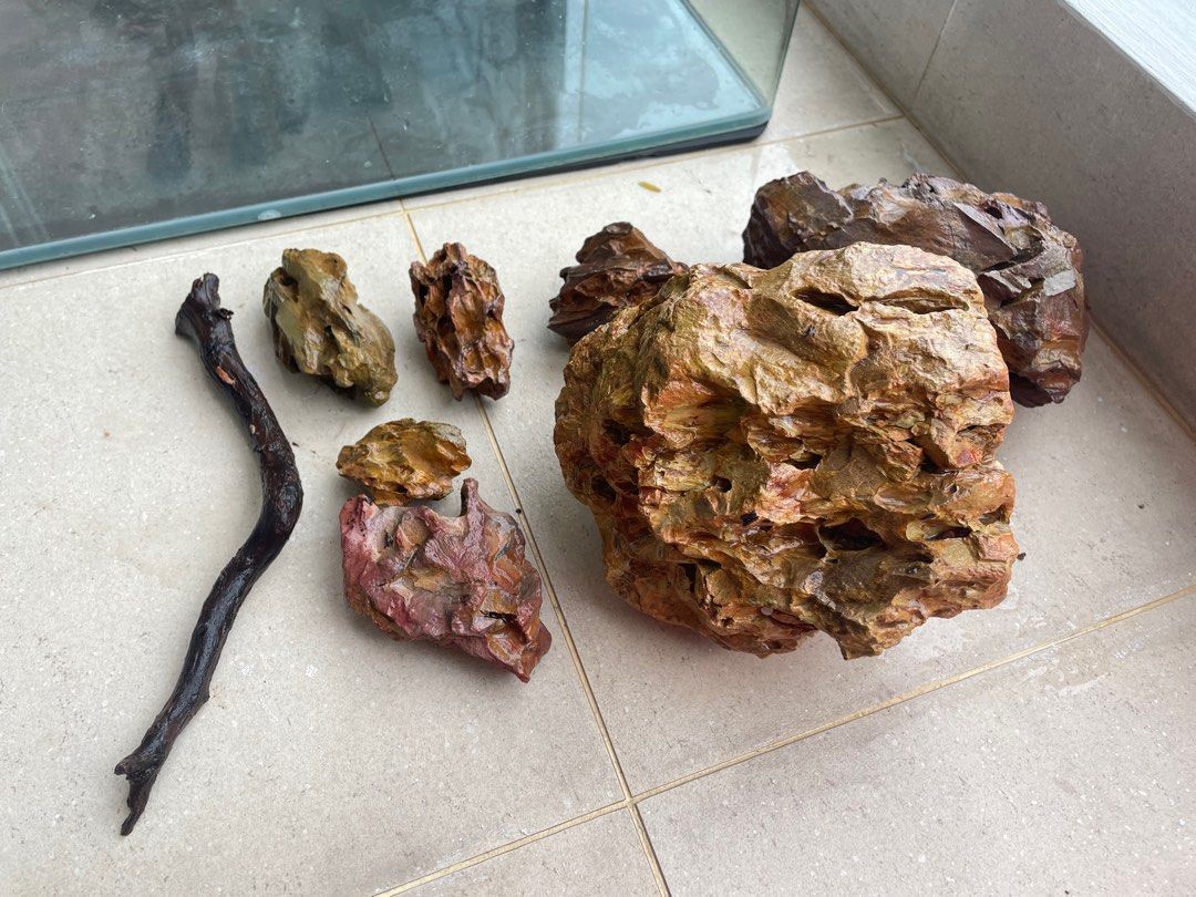 Glass Tank and Aquascaping Rocks, Pet Supplies, Homes & Other Pet Accessories on Carousell