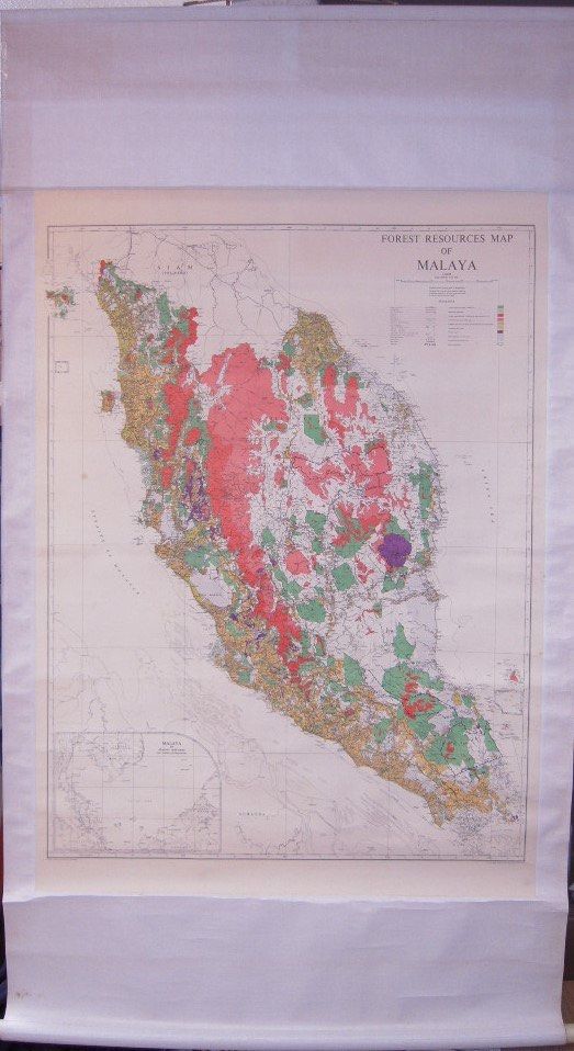 Large Map of Malaya 1954 98x71 on scroll, Hobbies & Toys, Memorabilia ...