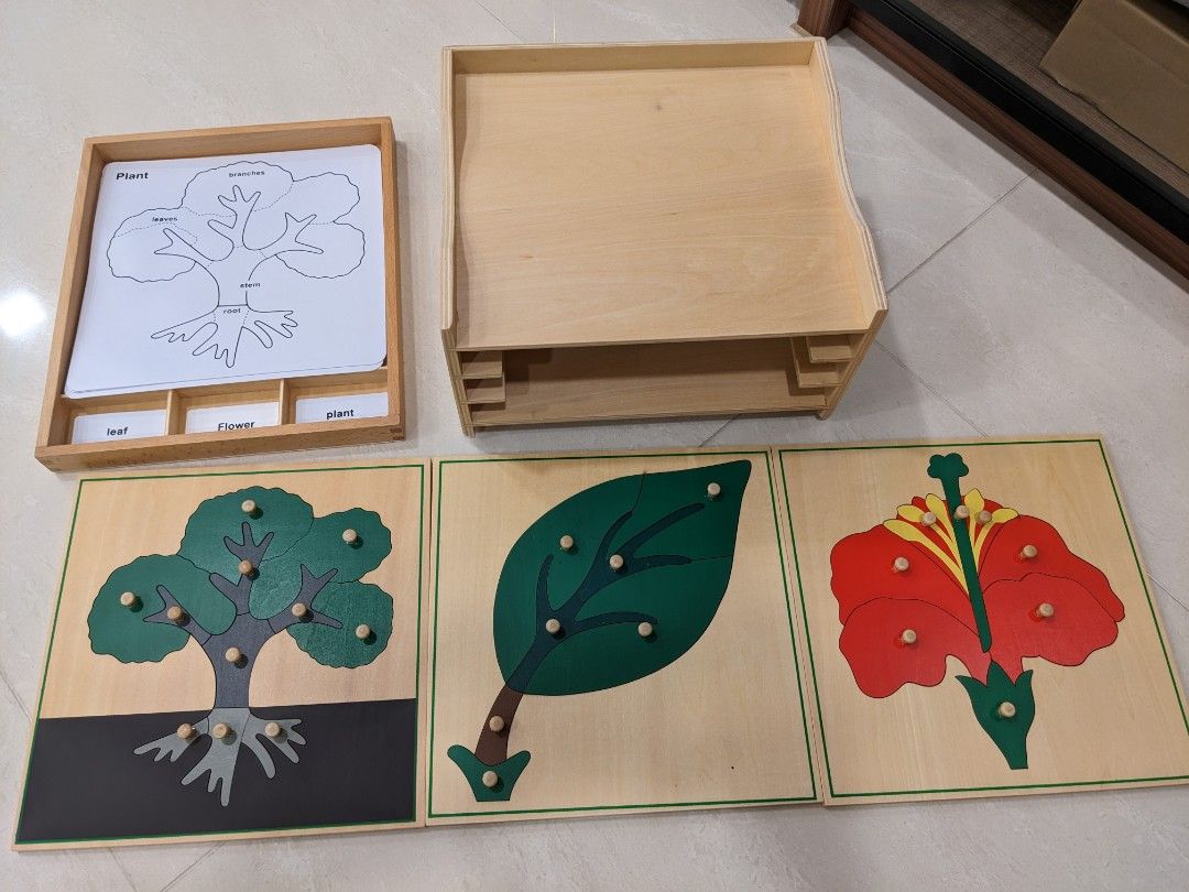 Montessori Cultural Botany Wooden Puzzle & activity set, Hobbies & Toys ...