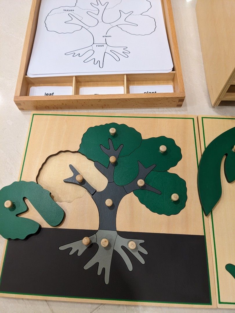 Montessori Cultural Botany Wooden Puzzle & activity set, Hobbies & Toys ...