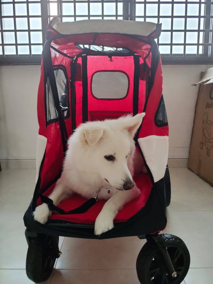 Extra Large Stroller, Pet Supplies, Homes & Other Pet Accessories on ...