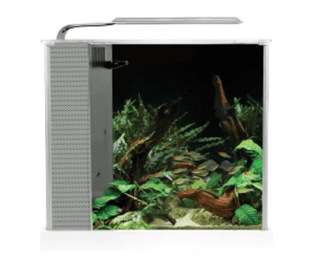 Fluval 10l fish tank, Pet Supplies, Homes & Other Pet Accessories on ...