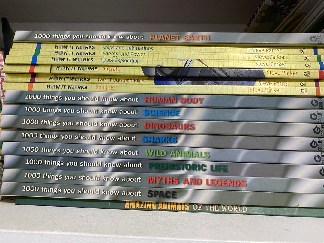 How it works and 1000 things you should know about bundle, Hobbies ...