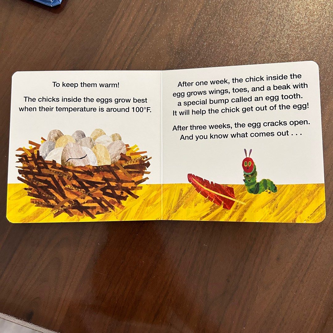 Life Cycles with The Very Hungry Caterpillar - How Does An Egg Hatch ...