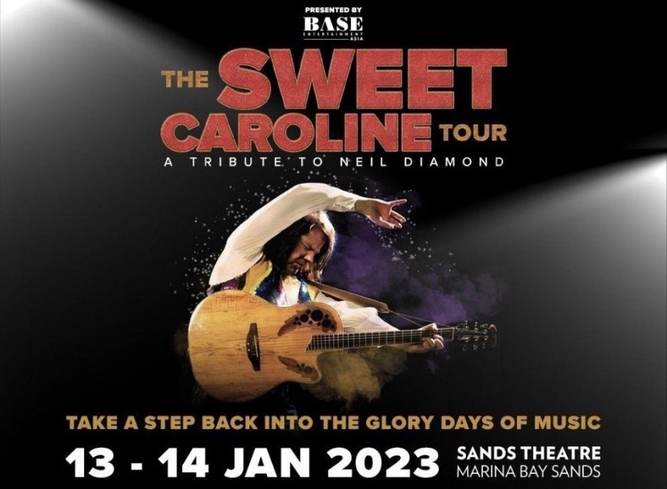 Neil Diamond exclusive concert at MBS, Tickets & Vouchers, Event ...