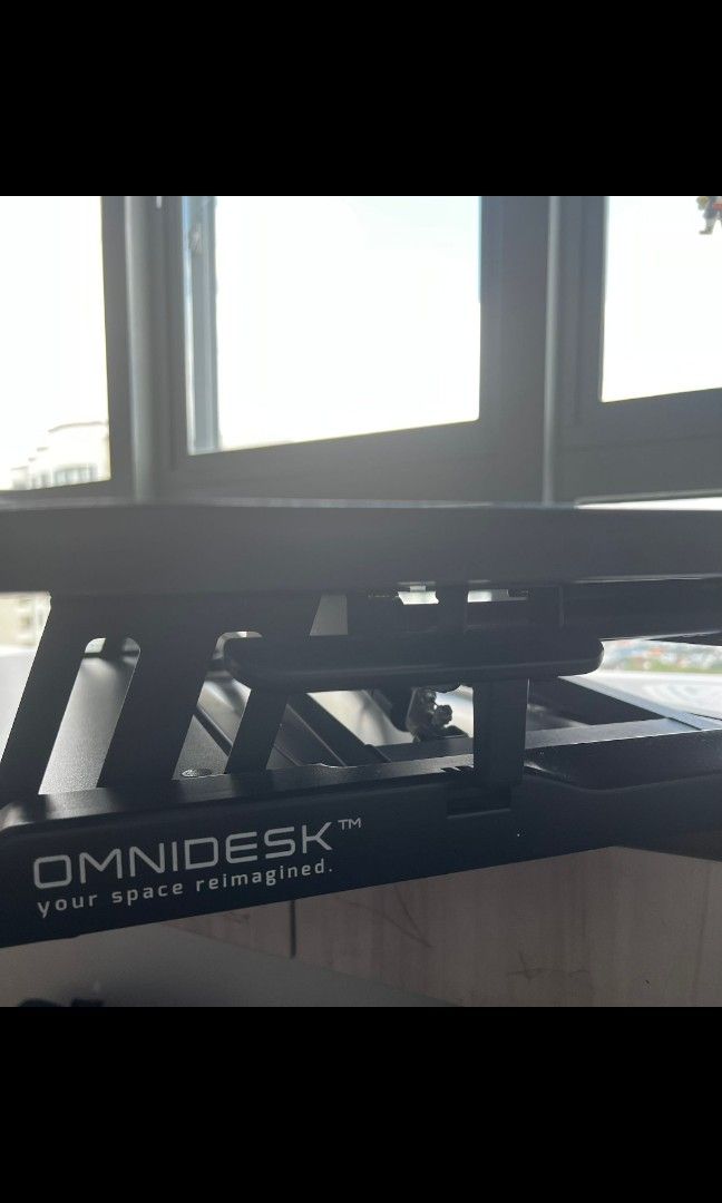 Omnidesk Flight Ergonomic Standing Desk / Height Adjustable table / Sit ...