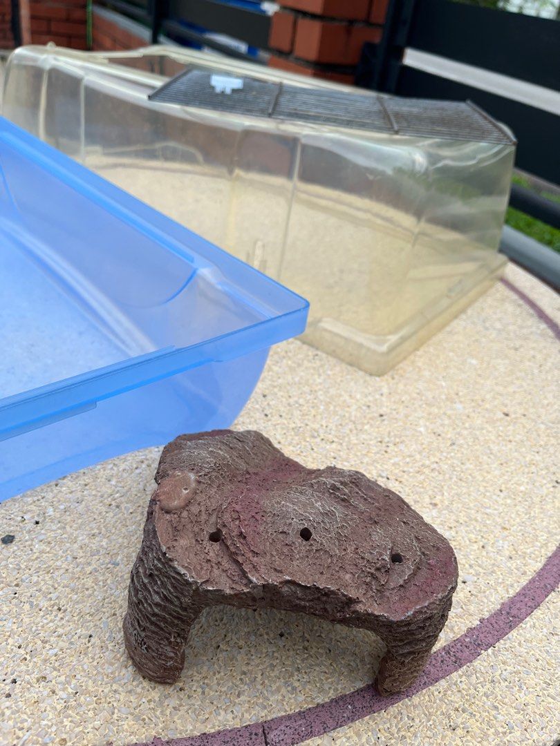 Terrapin tank/Hamster cage, Pet Supplies, Homes & Other Pet Accessories ...