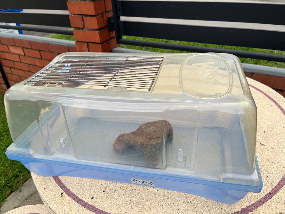 Terrapin tank/Hamster cage, Pet Supplies, Homes & Other Pet Accessories ...