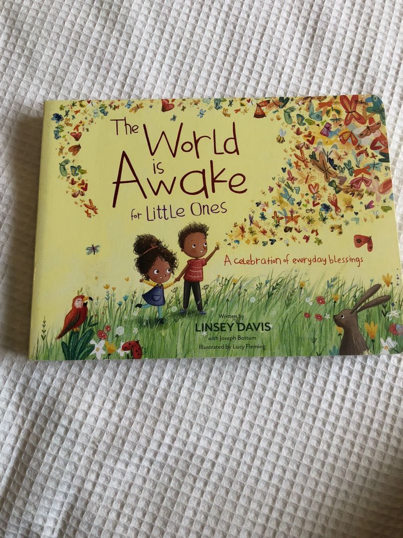 The World is Awake for Little Ones by Linsey Davis, Hobbies & Toys ...