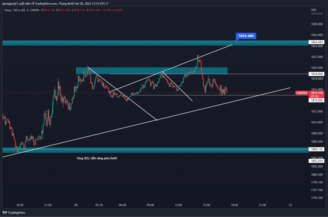 TradingView Premium & Plus, Computers & Tech, Desktops on Carousell