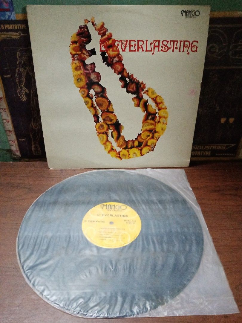 Vintage 12 Inches Vinyl (D' Everlasting), Hobbies & Toys, Music & Media ...