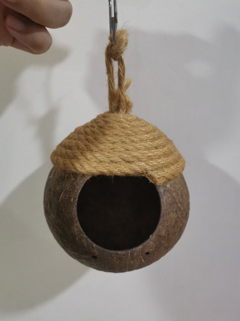 Coconut Bird nest., Pet Supplies, Homes & Other Pet Accessories on ...