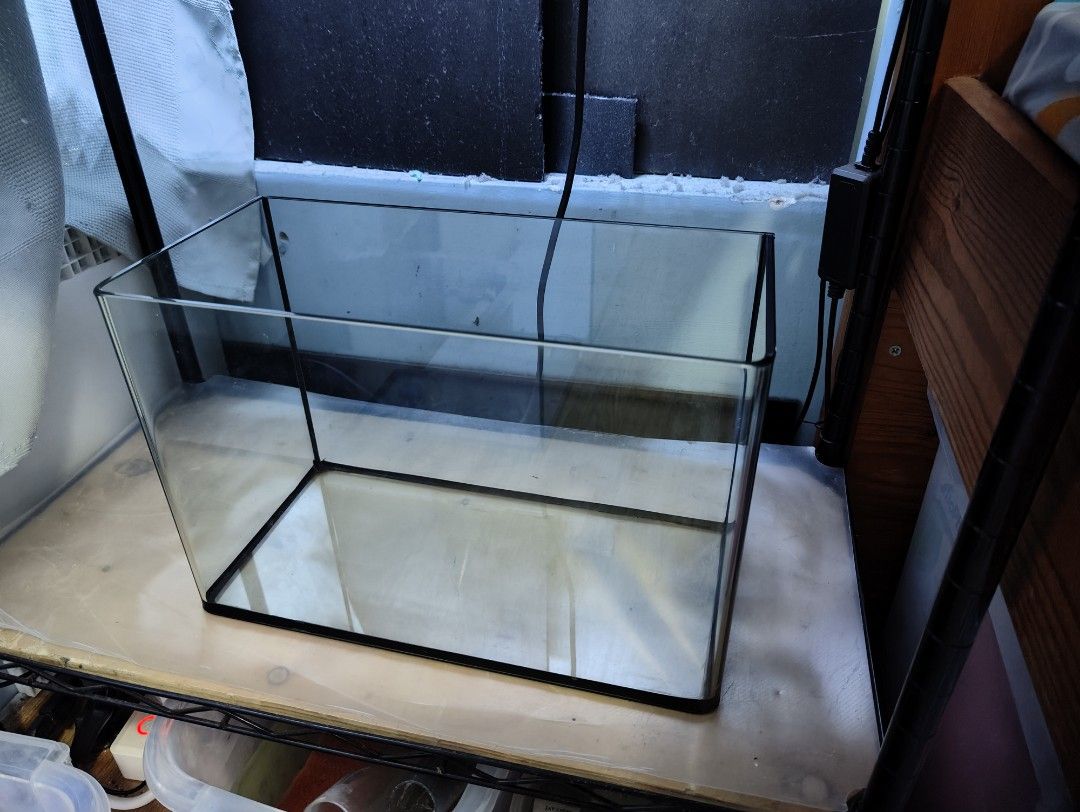 Curved Fish Tank (30cm x 15cm x 20cm), Pet Supplies, Homes & Other Pet ...