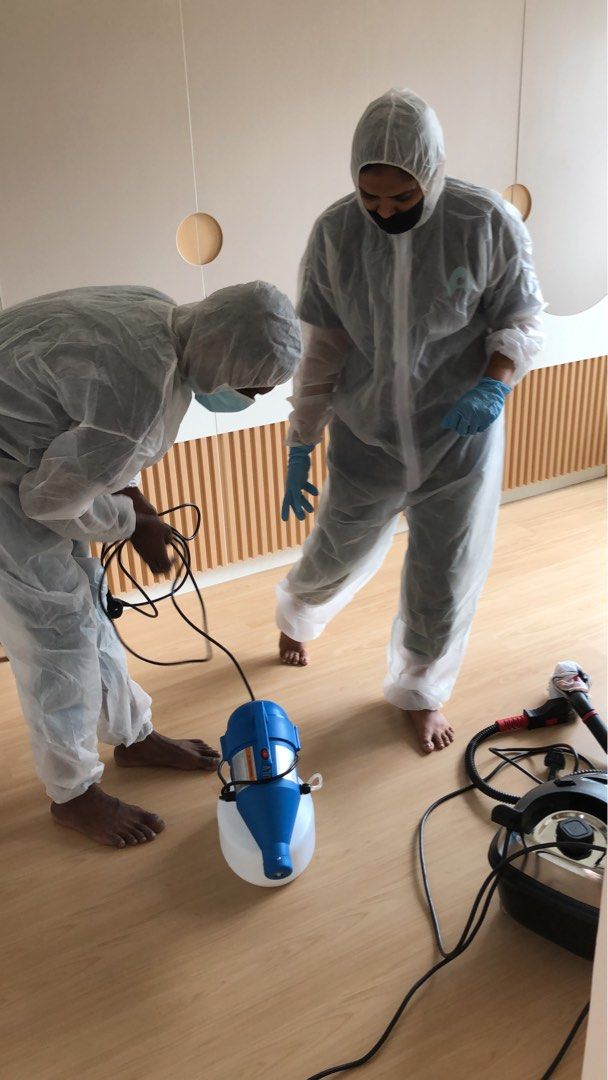 (DISINFECT, STEAM, FOGGING) DEEP CLEANING SERVICE, Home Services, Home ...