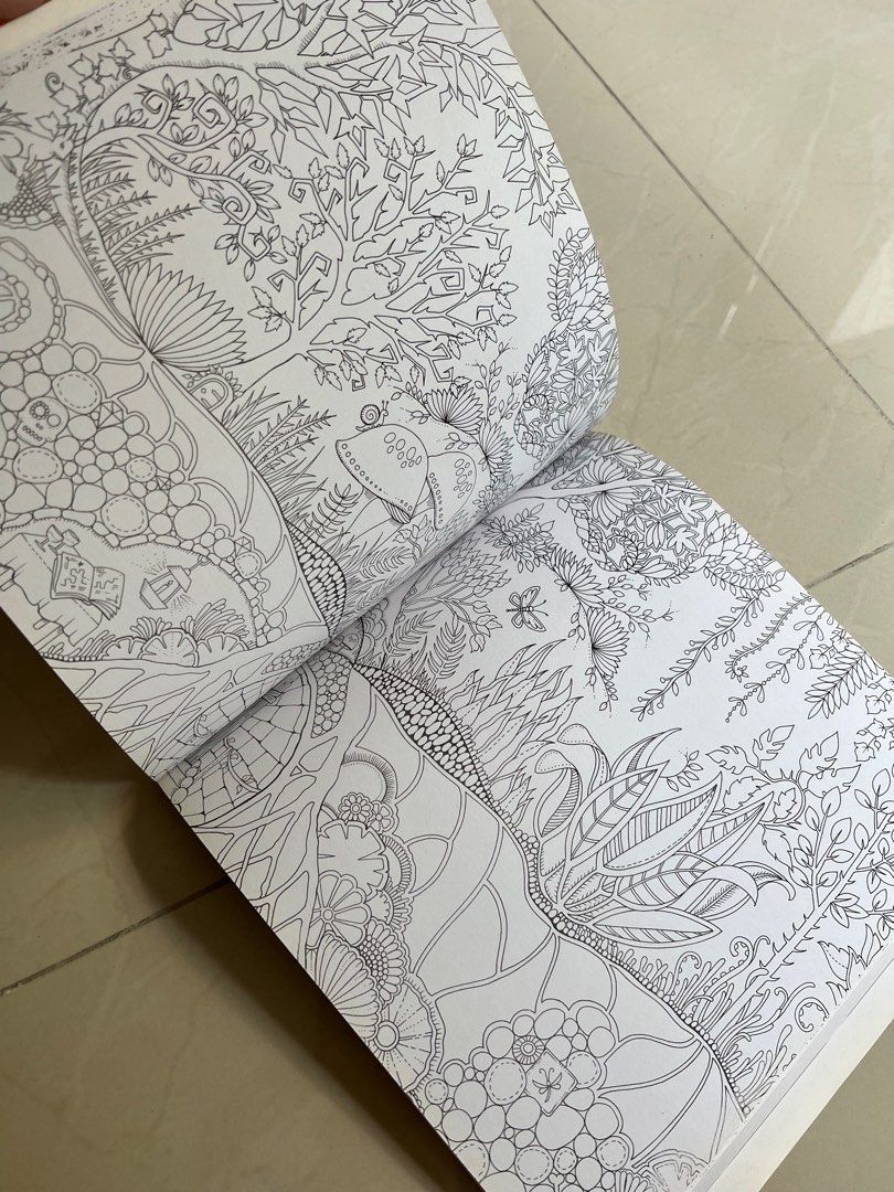 Enchanted Forest : An Inky Quest & Colouring Book by Johanna Basford ...