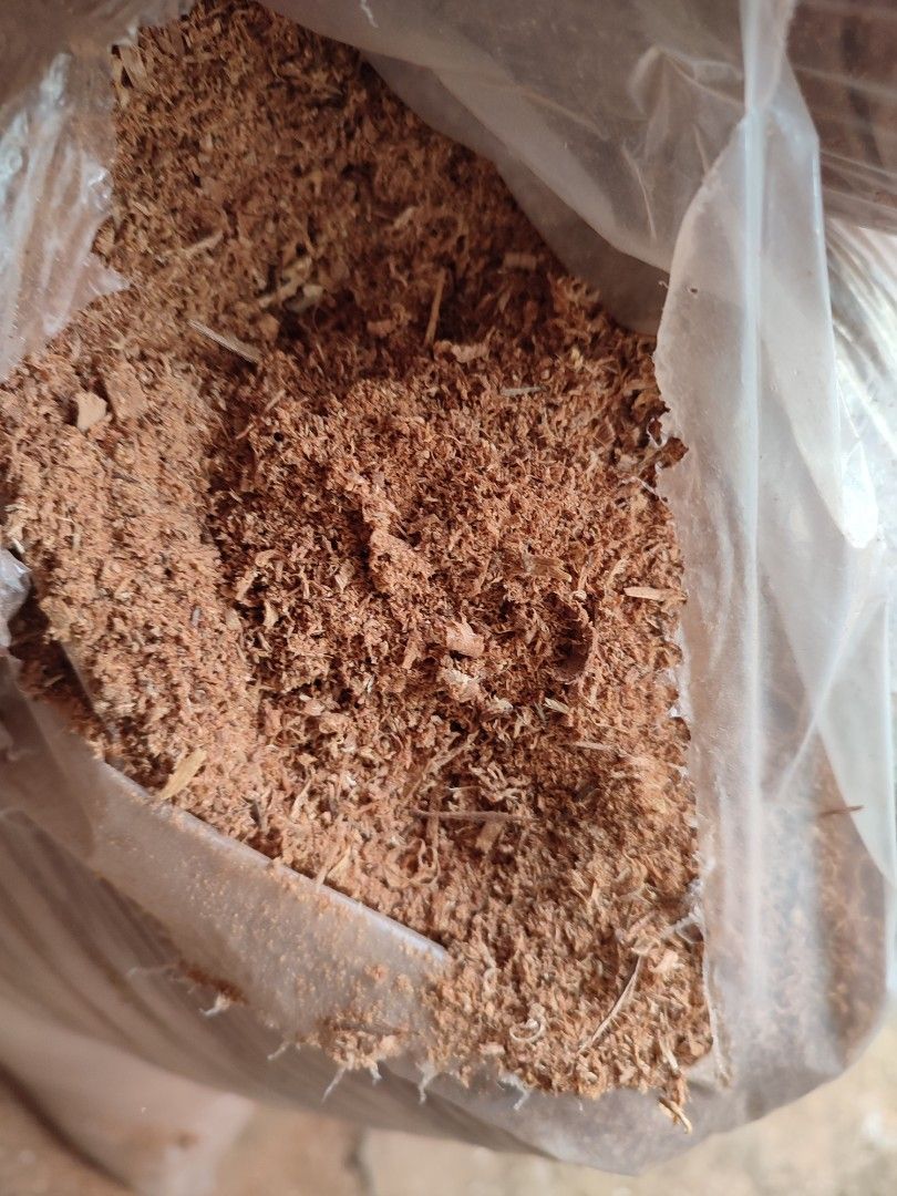 Kusot, Everything Else, Others on Carousell