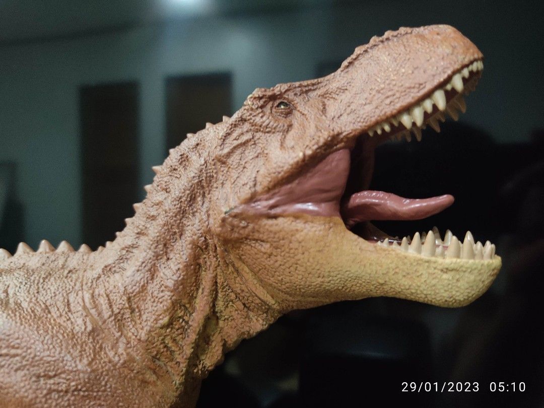 Sega Dinosaur King T rex 2014 Rare, Hobbies & Toys, Toys & Games on Carousell