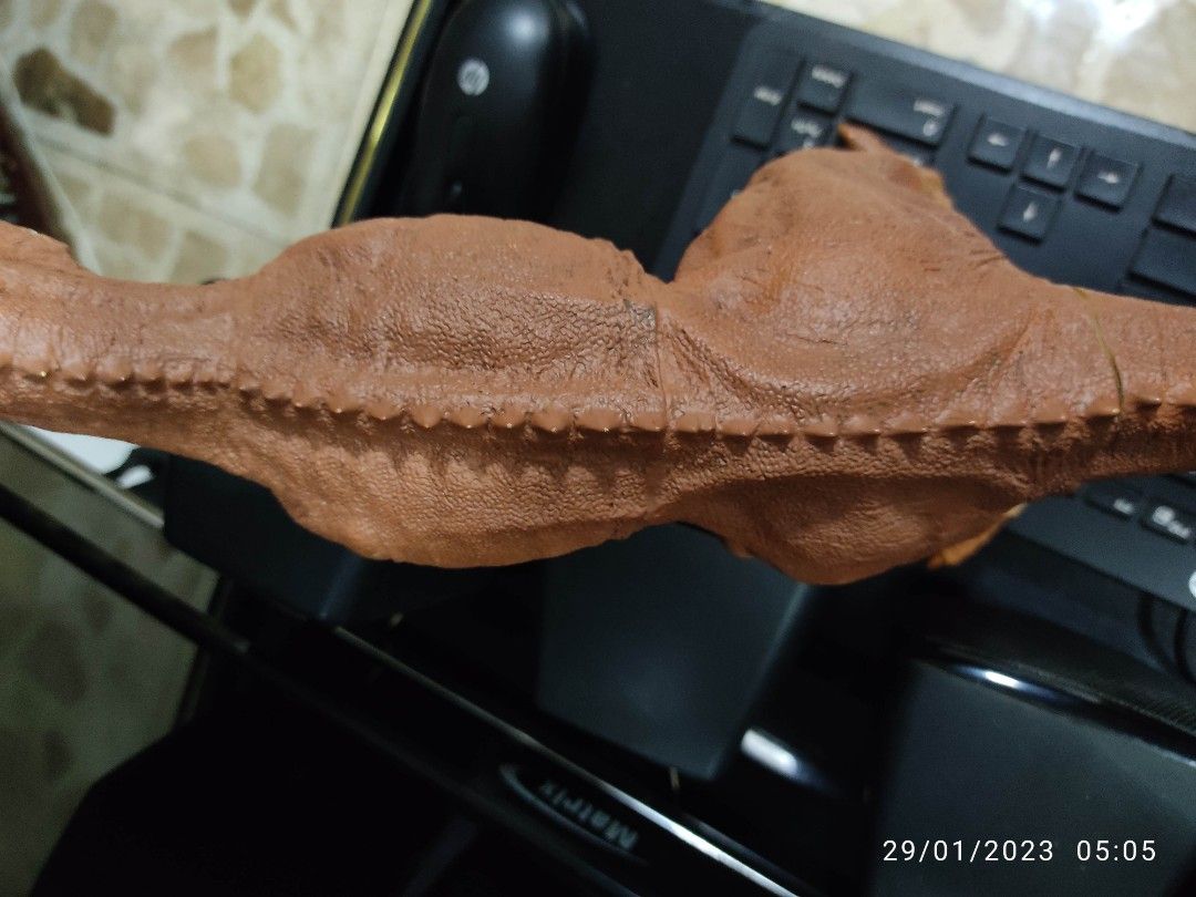 Sega Dinosaur King T rex 2014 Rare, Hobbies & Toys, Toys & Games on ...