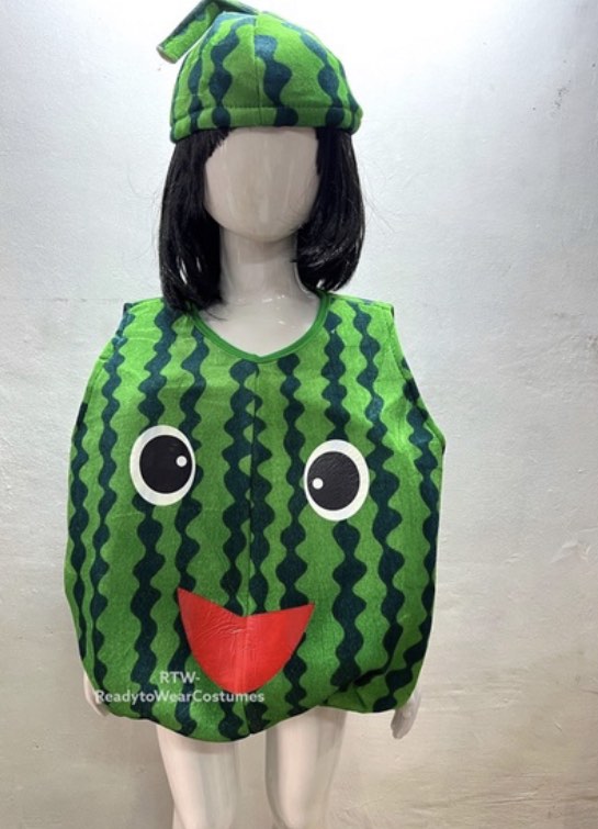 Watermelon costume, Women's Fashion, Activewear on Carousell