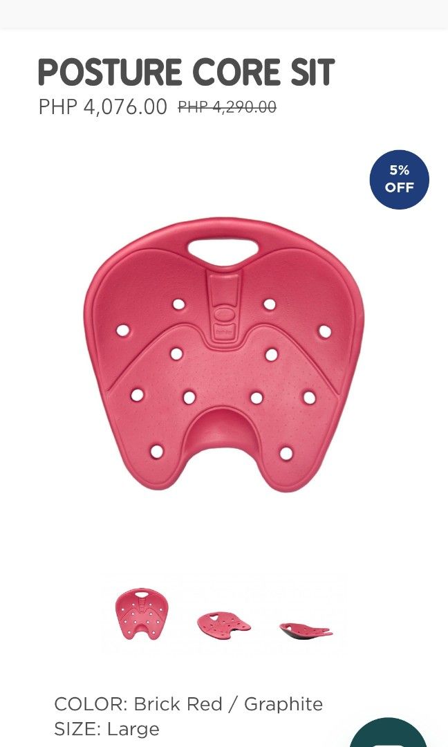 BackJoy Posture Core Sit/Seat, Computers & Tech, Parts & Accessories ...