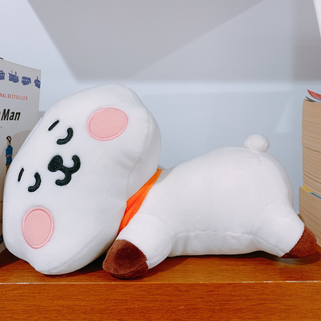 BT21 Baby RJ Lying Down Cushion, Hobbies & Toys, Memorabilia ...