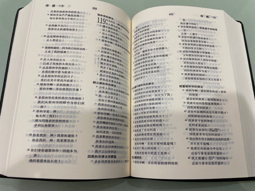 Chinese Union Version CUV Bible, Compact Size Small Print, Hobbies ...